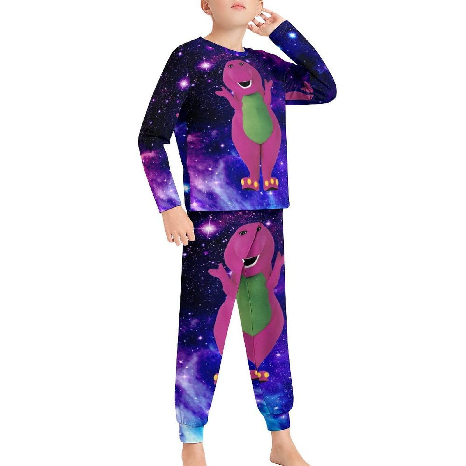 Barney Dinosaur Friends Costumes T Shirt Set Crewneck Tee Shirt Pants ...
