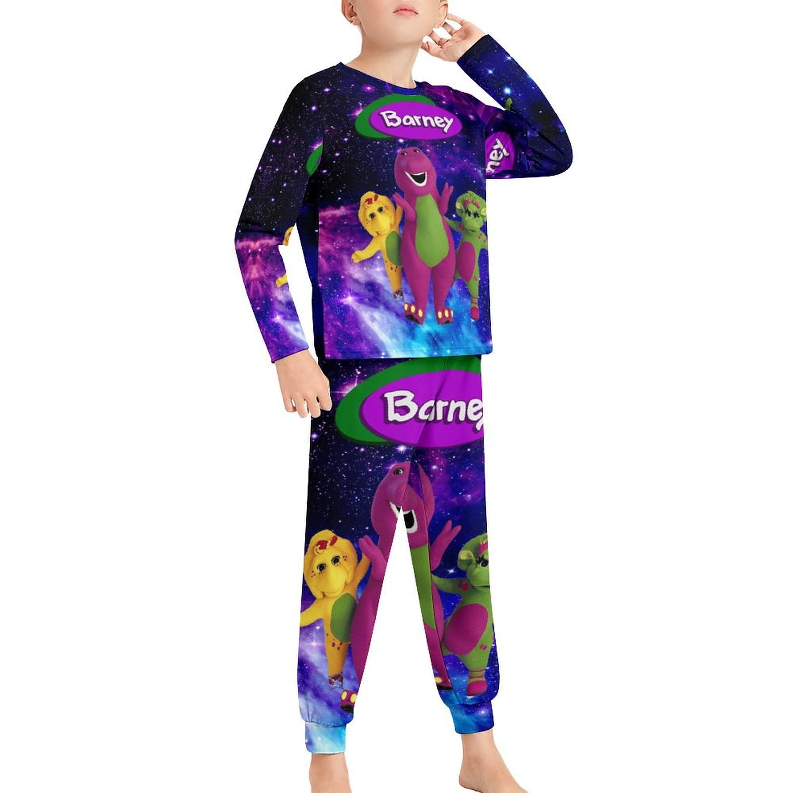 Barney Dinosaur Friends Costumes T Shirt Set Crewneck Tee Shirt Pants ...