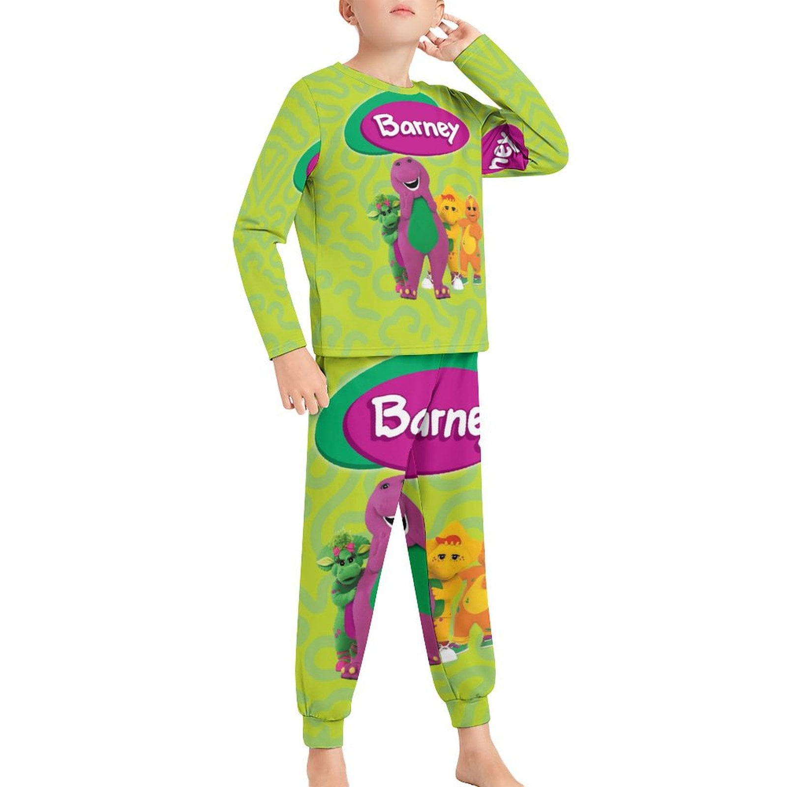 Barney Dinosaur Friends Costumes T Shirt Set Crewneck Tee Shirt Pants ...