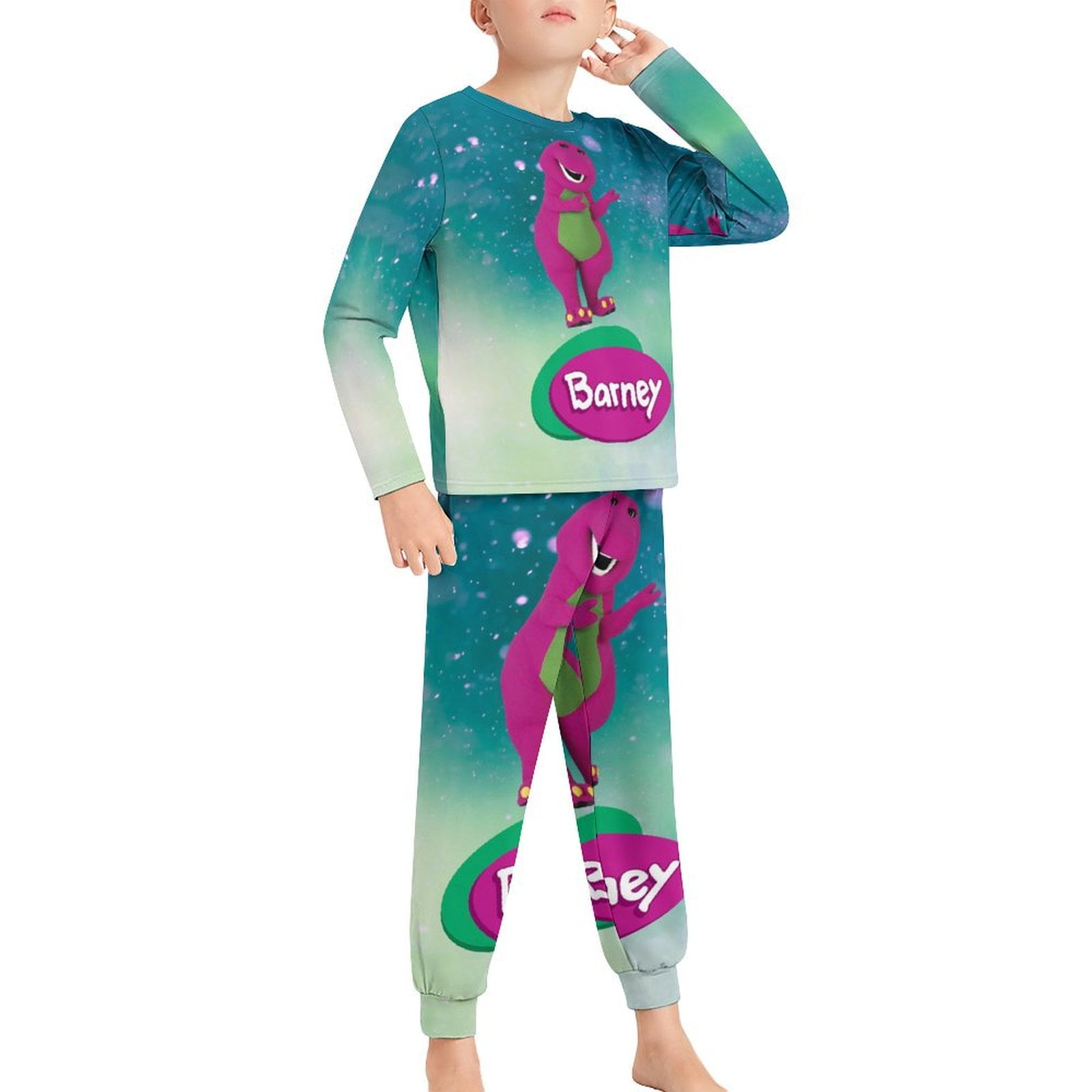 Barney Dinosaur Friends Costumes T Shirt Set Crewneck Tee Shirt Pants ...