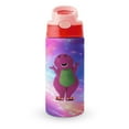 Barney Dinosaur Friends Water Bottle with Straw Lid Vacuum Insulated ...