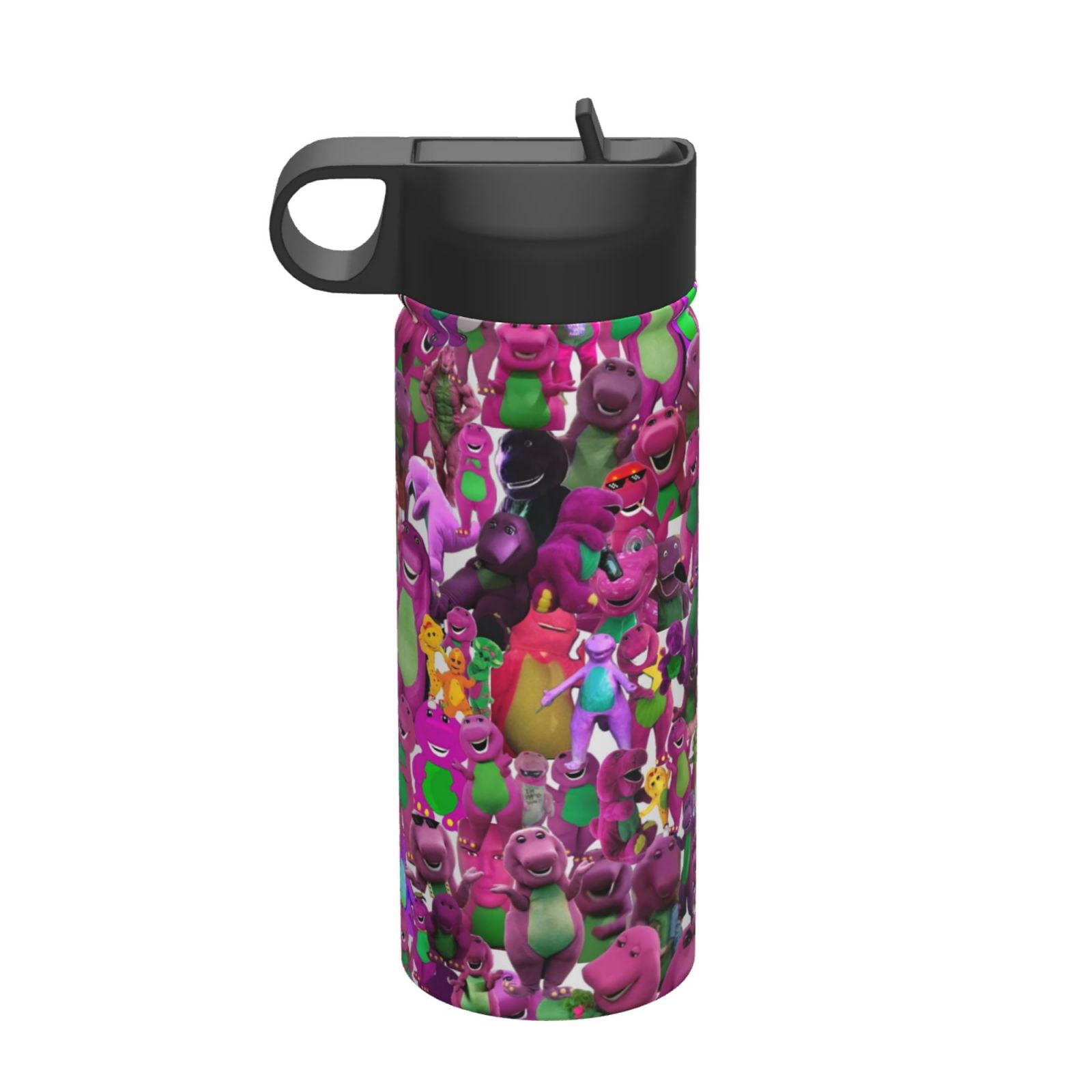 Barney And Friends Insulated Water Bottle with Straw Lid, 18 oz Double ...