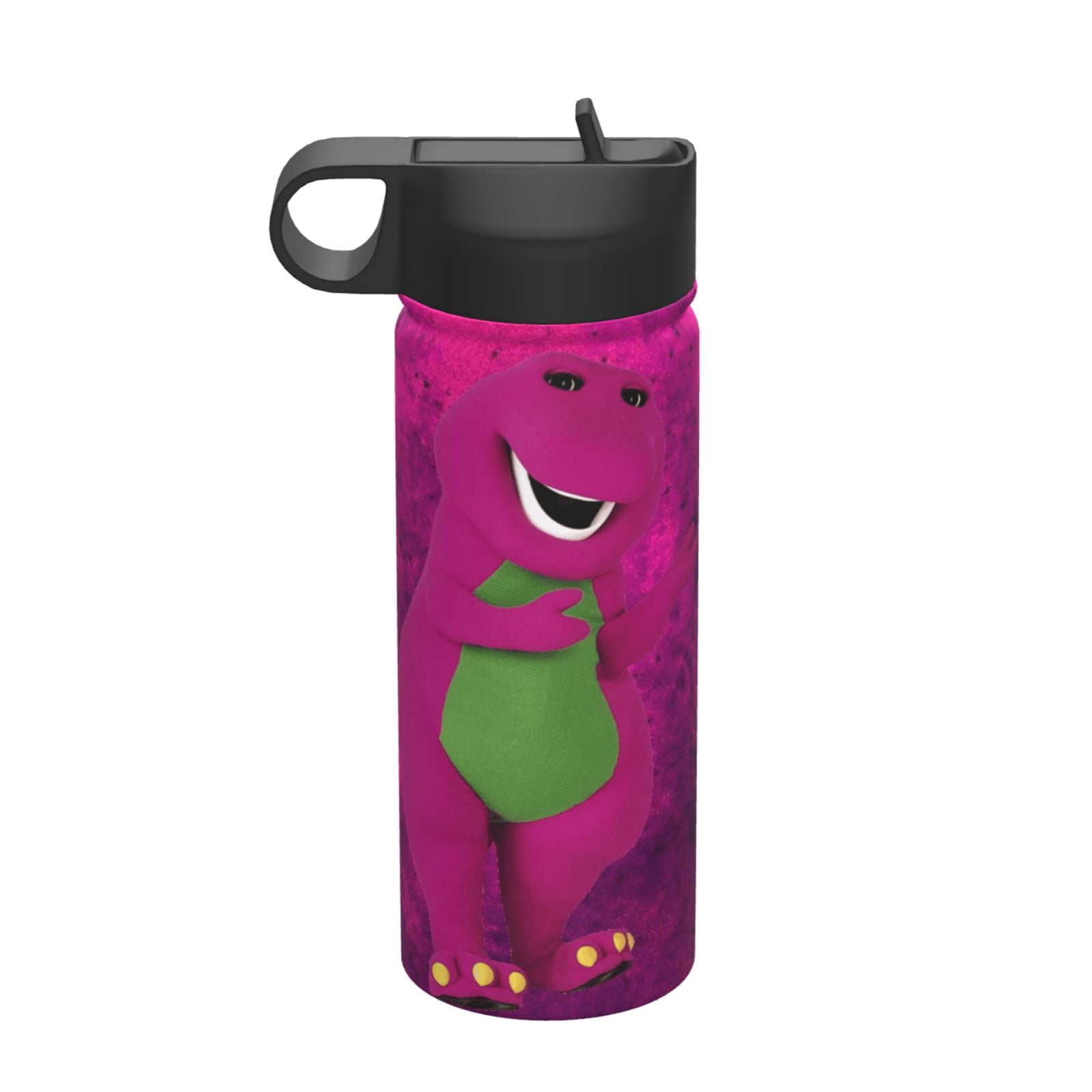 Barney And Friends Insulated Water Bottle with Straw Lid, 18 oz Double ...