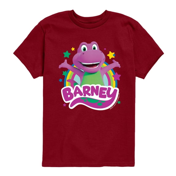 Barney - Logo - Youth Boys Short Sleeve Graphic T-Shirt - Walmart.com