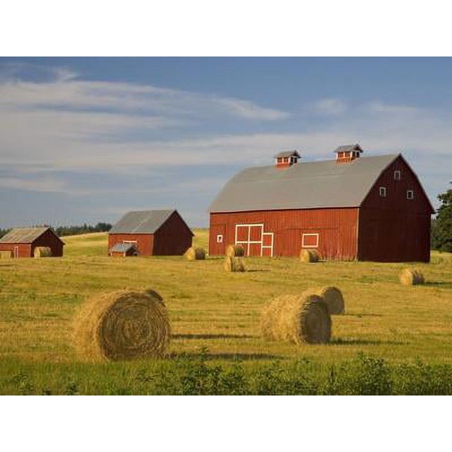Barns and Hay Bales in Field, Figurative Scenic Unframed Photographic ...