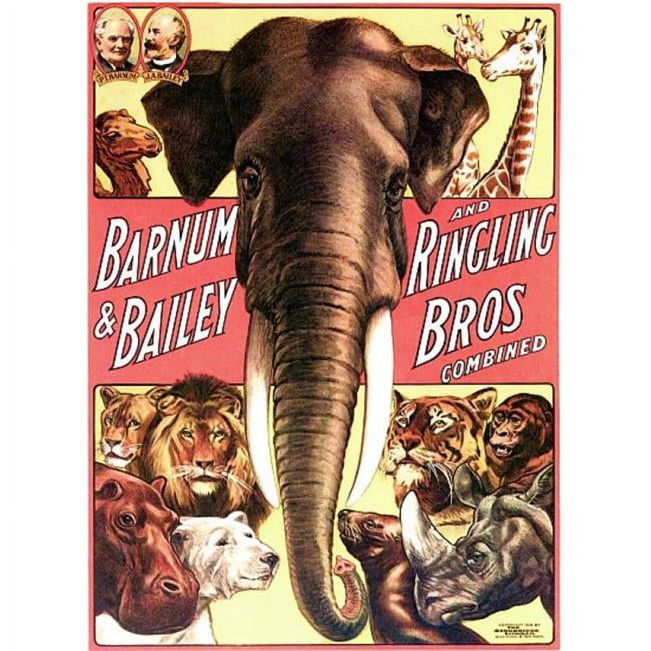 Barnum Bailey Ringling Elephant Animal Circus Poster Print - 24 x 36 ...