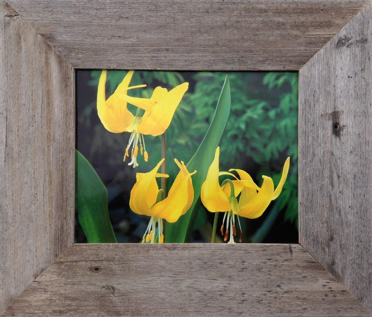 Barnwood Picture Frame - Homestead Series, Made from 100% Reclaimed ...