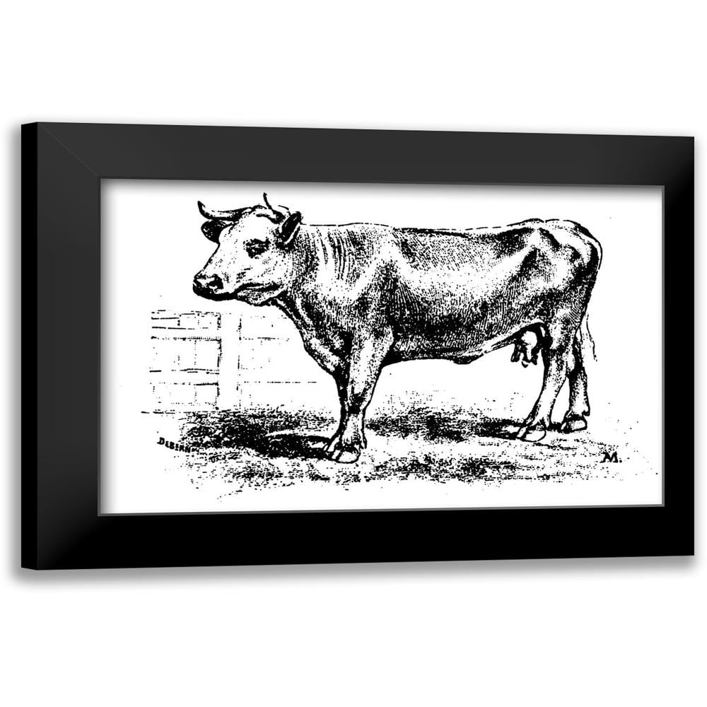 Barnyard Cow 24x17 Black Modern Framed Museum Art Print Titled - Art ...