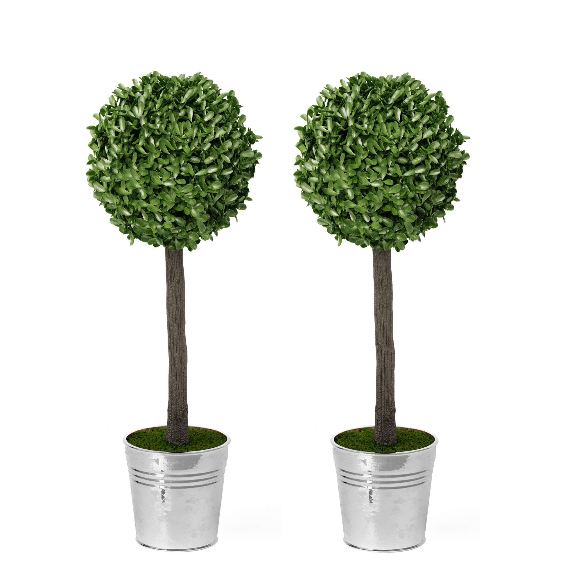 Barnyard Designs 1.5ft (17”) Artificial Boxwood Topiary Ball Trees in ...