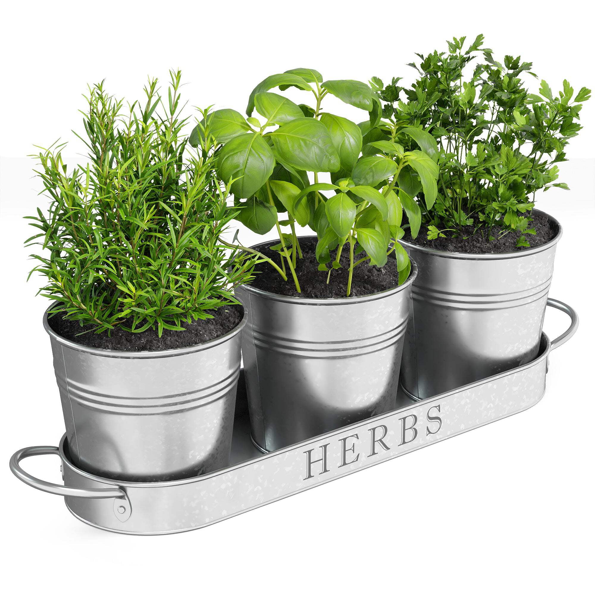Barnyard Designs Farmhouse Herb Garden Planter Indoor Planter Set with ...