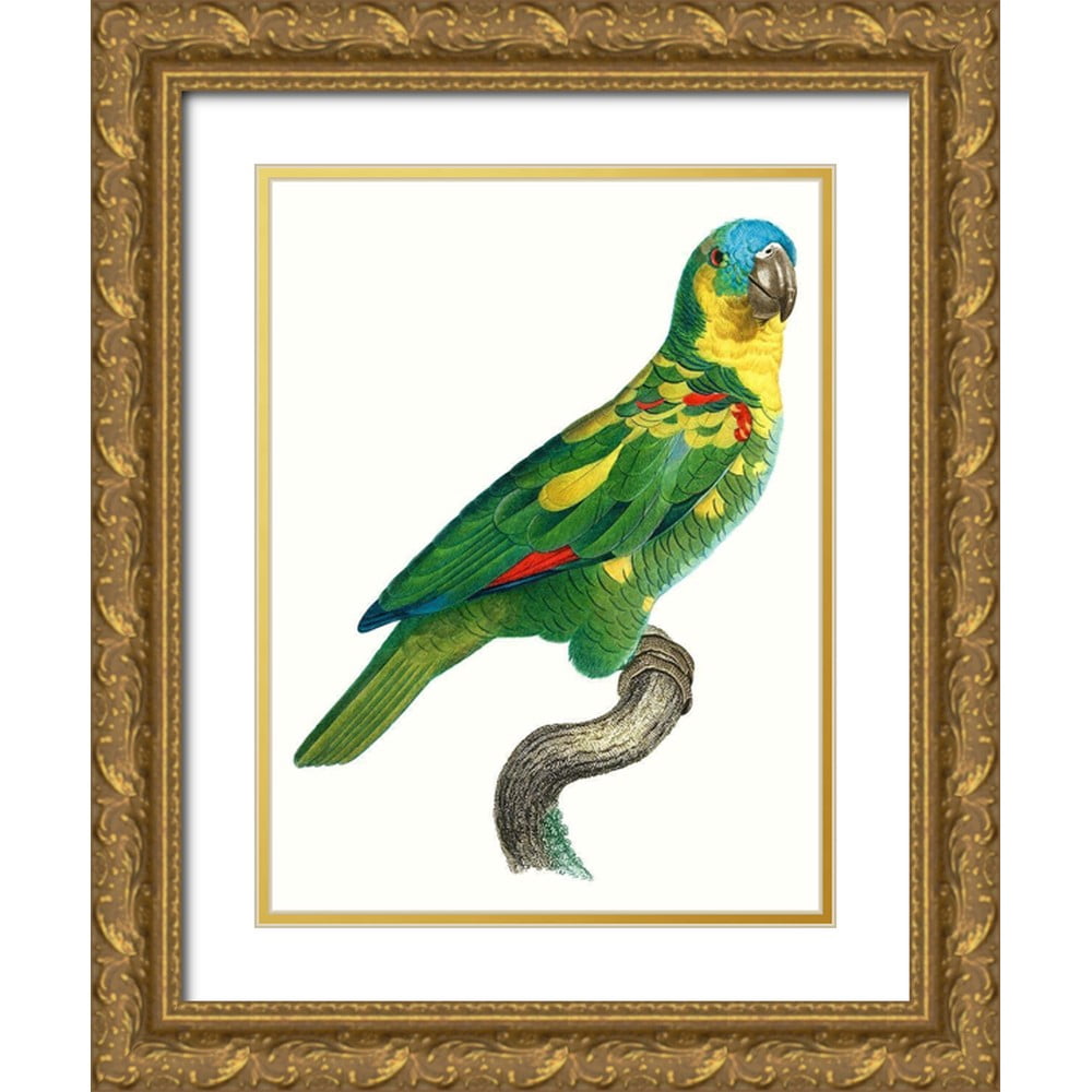 Barraband 15x18 Gold Ornate Wood Framed with Double Matting Museum Art ...