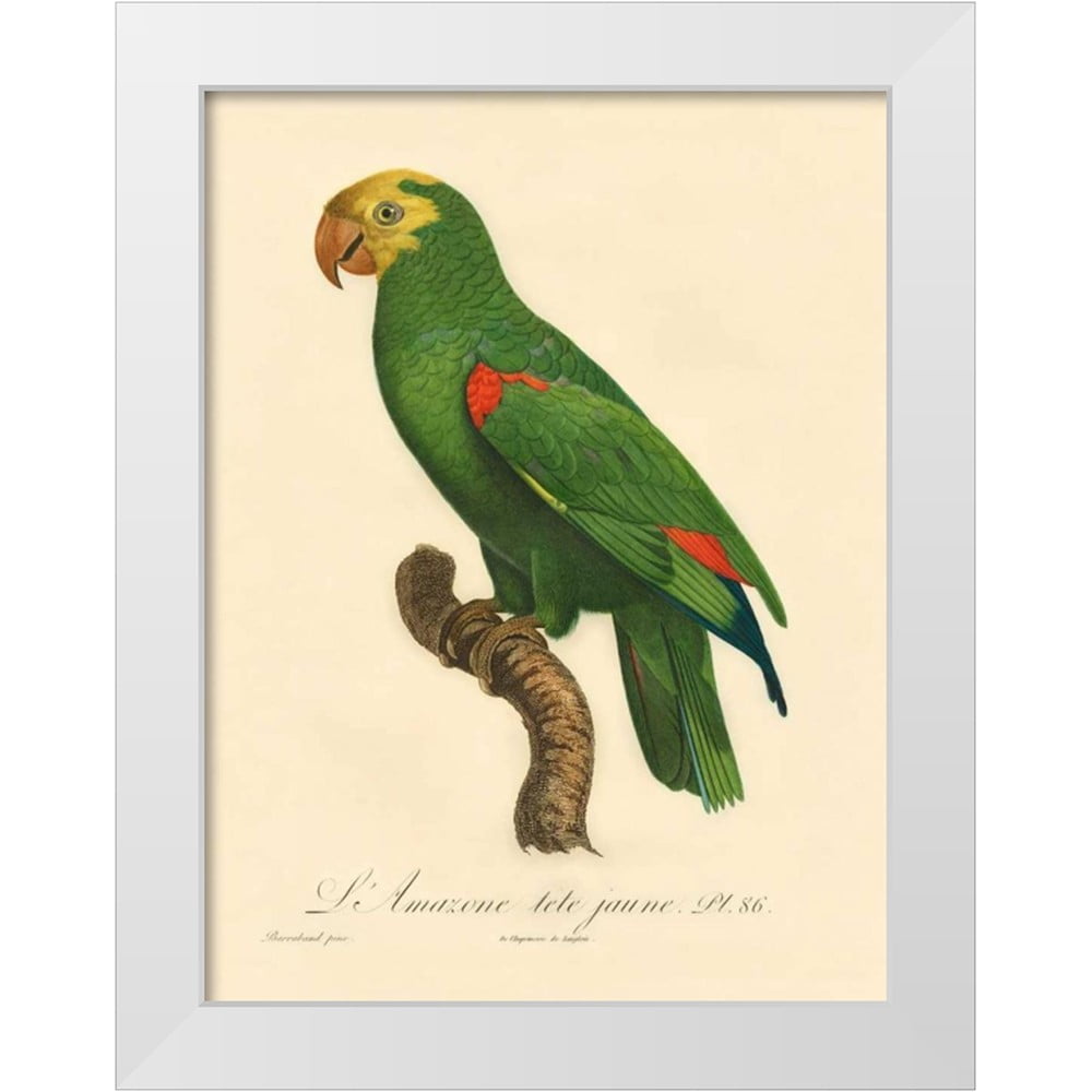 Barraband 19x24 White Modern Wood Framed Museum Art Print Titled ...