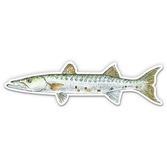 Barracuda Fishing - 3" Vinyl Sticker - For Car Laptop Water Bottle ...