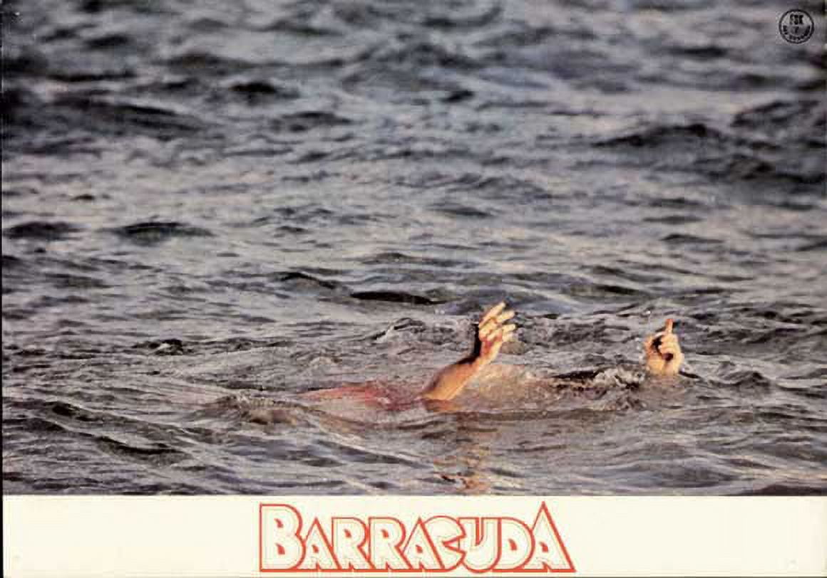 Barracuda - movie POSTER (Style C) (11" x 14") (1978) - Walmart.com