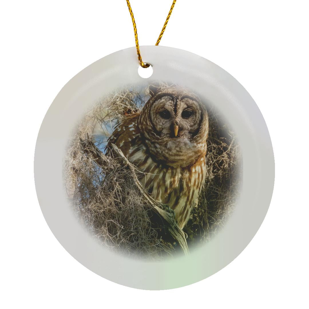 3drose, Barred Owl, Aka Hoot Owl in Tree, Florida, Circle Porcelain ...