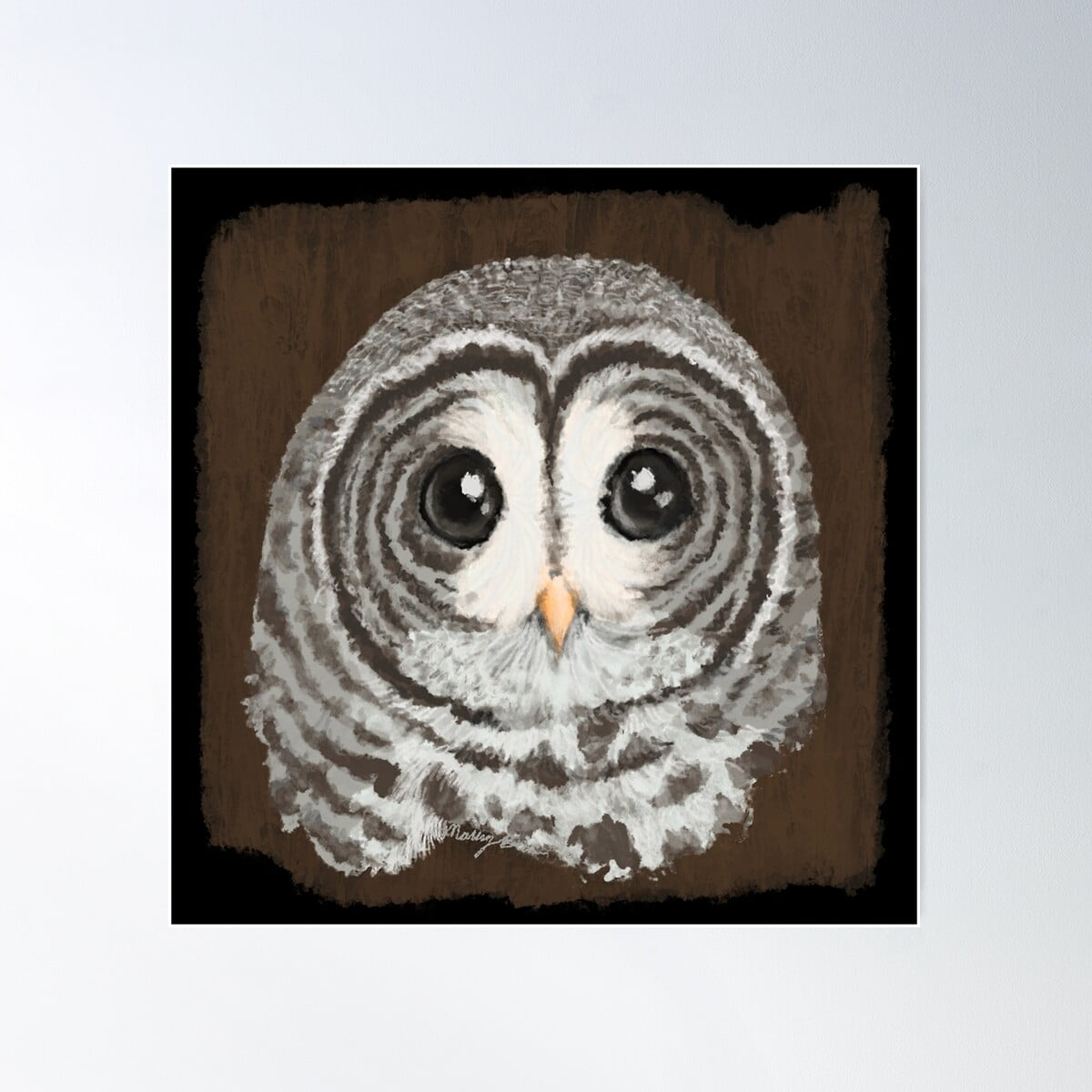 Barred Owl - Bark Background Poster Wall Art, Modern Wall Decor For ...