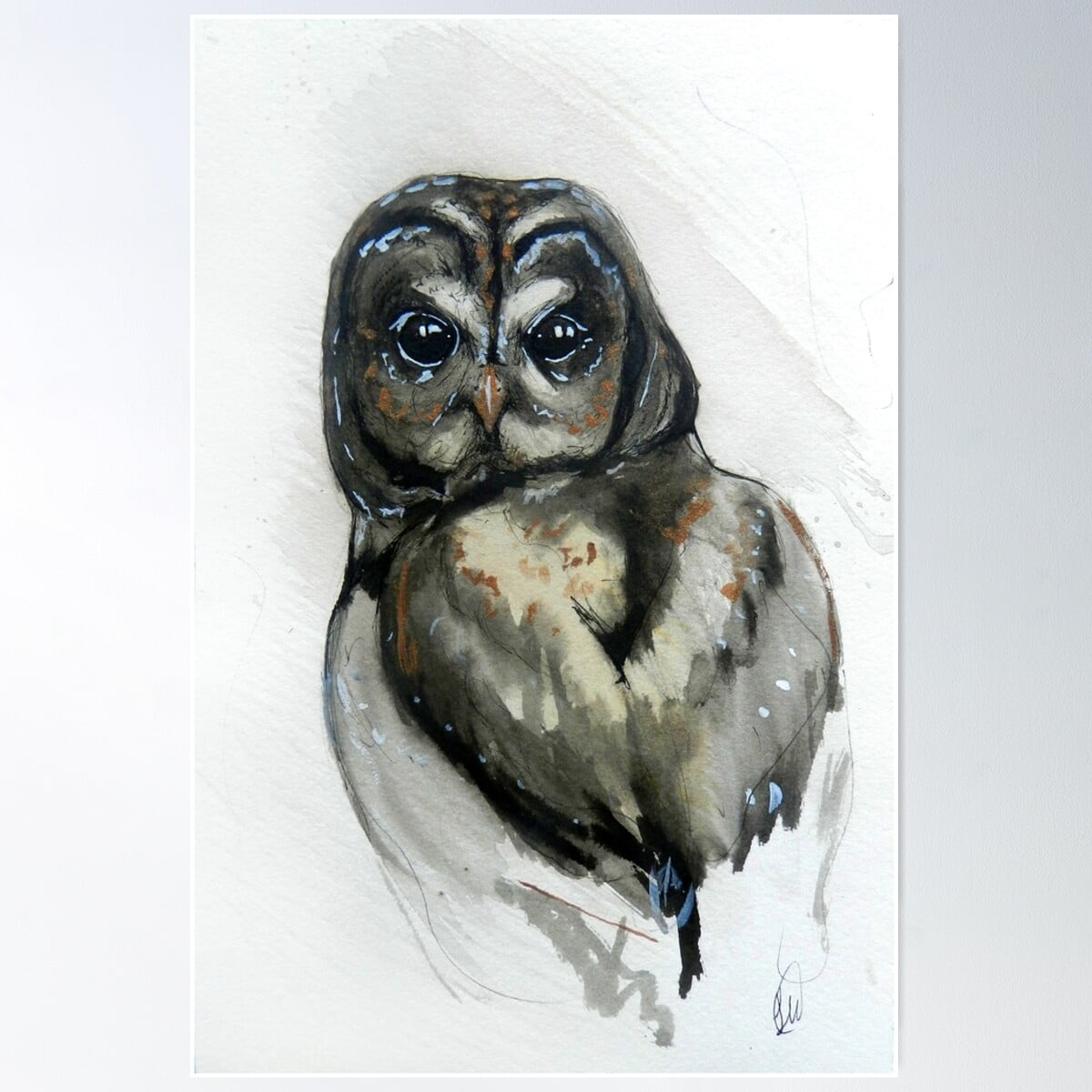 Barred Owl Poster Wall Art, Modern Wall Decor For Living Room Bedroom ...