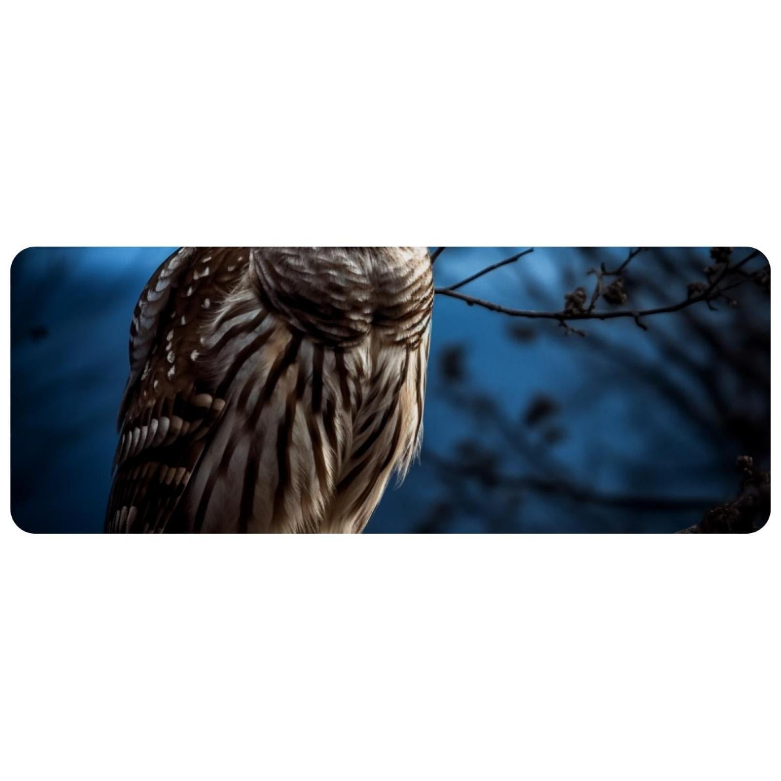 Barred Owl Sits Motionless in the Blue Moonlight Mouse Pad, Personality ...