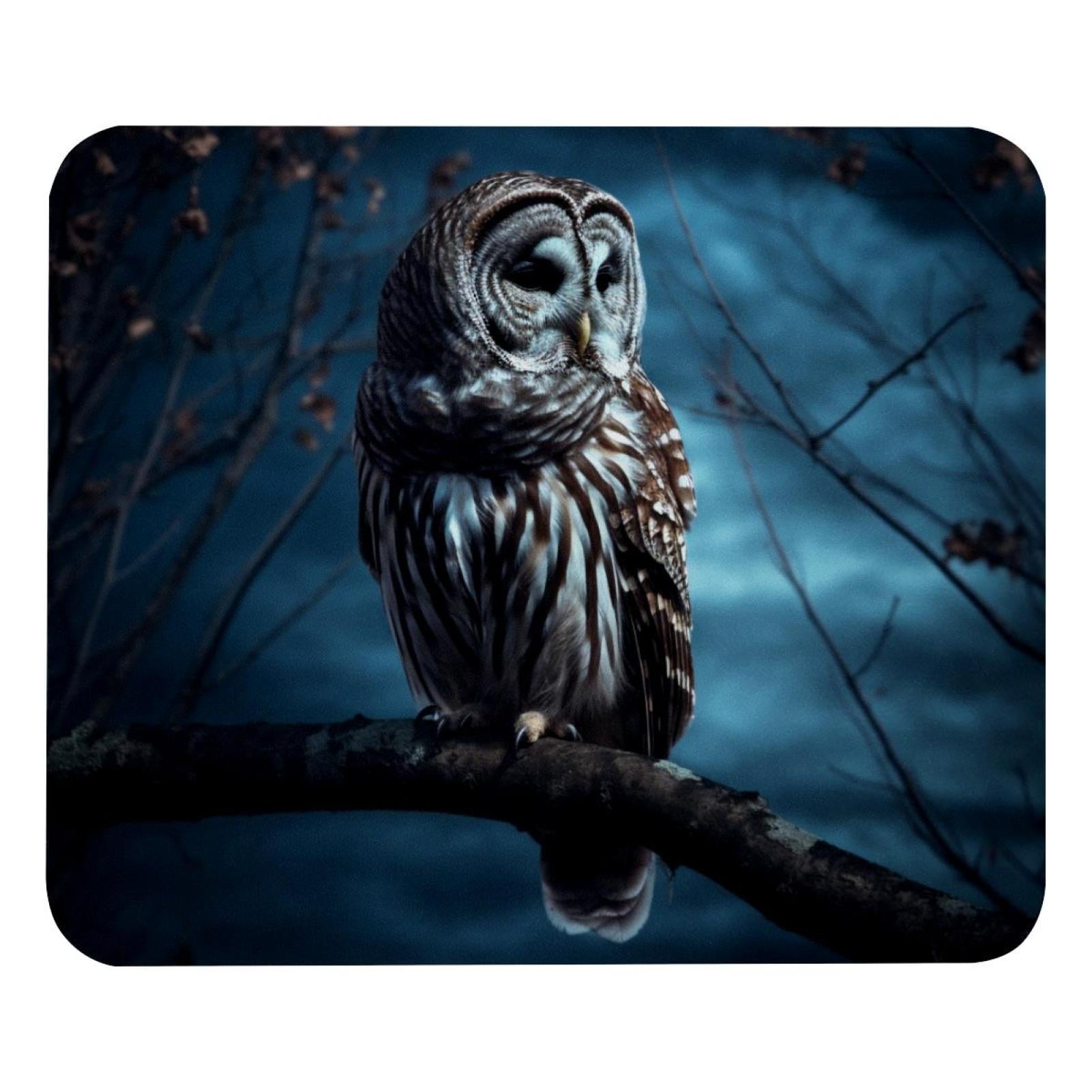Barred Owl Sits Motionless in the Blue Moonlight Mouse Pad, Personality ...