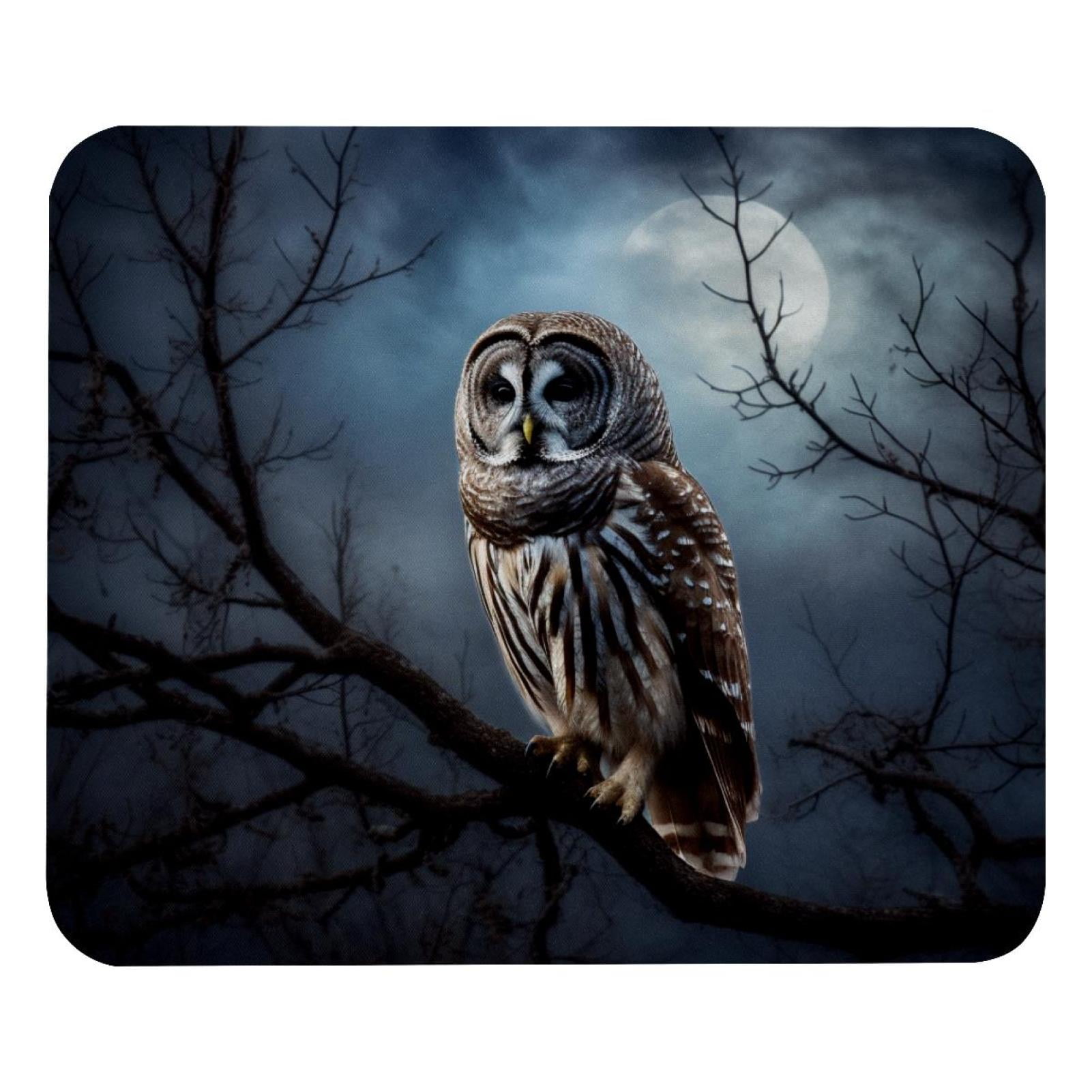 Barred Owl Sits Motionless in the Blue Moonlight Mouse Pad, Personality ...