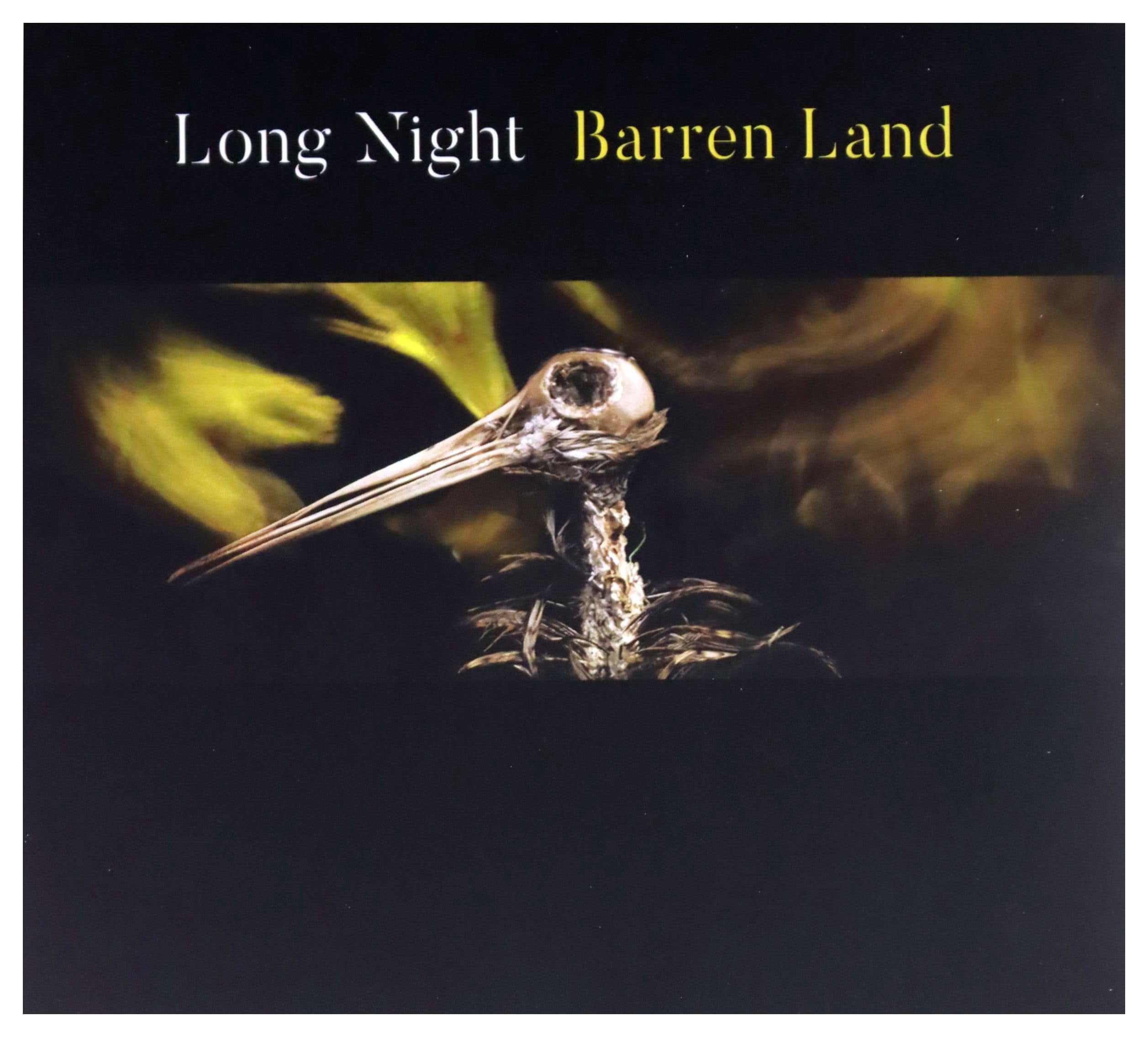 Barren land (Audiobook) - Walmart.com