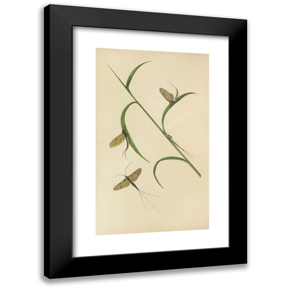 Barret And Sons 16x24 Black Modern Framed Museum Art Print Titled - The ...