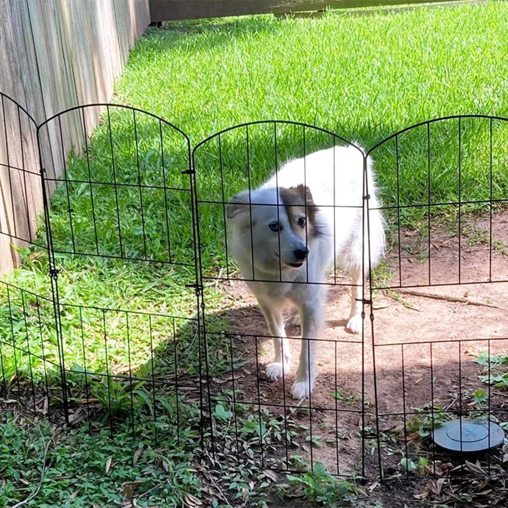 Barrier Fence 10 Pack Total 36in (H) x 10ft6in (L) Decorative Garden ...