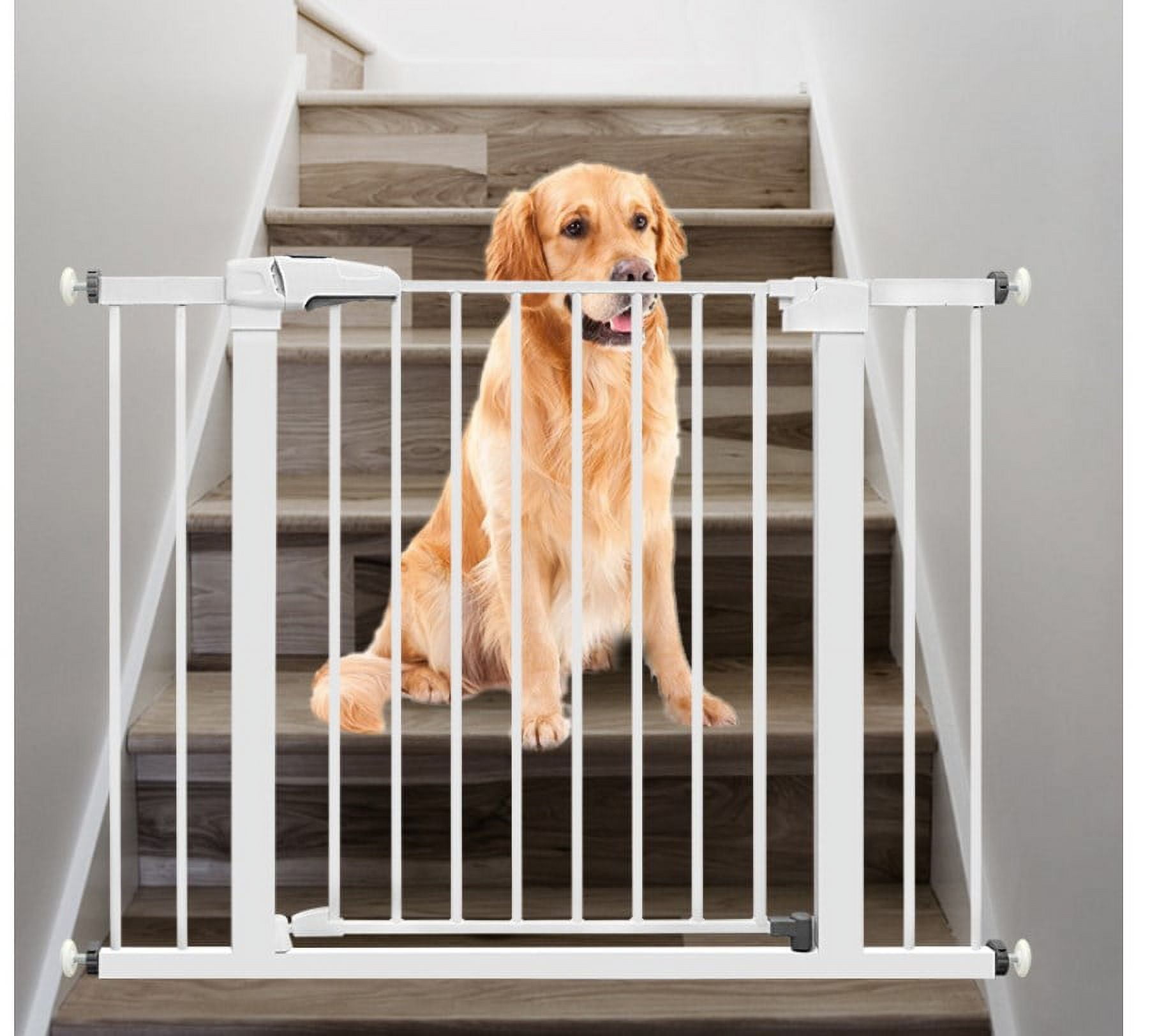 Barrier Fence,Underground Pet Dog Fence,Outdoor Small Garden Dog ...