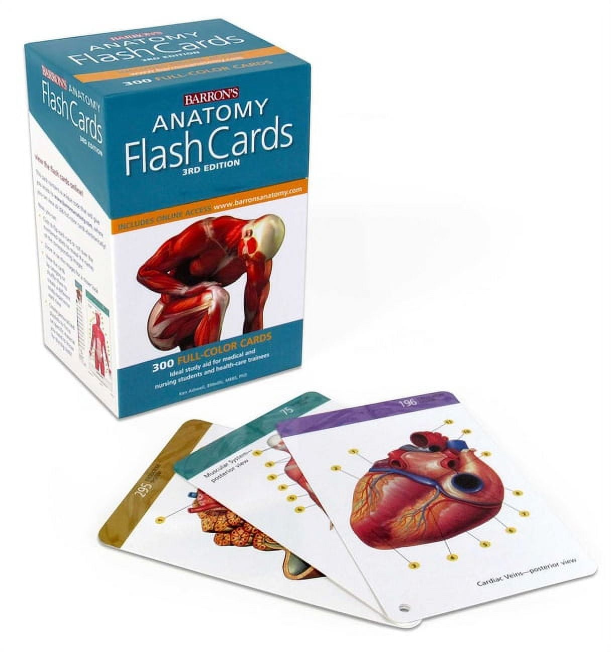Barron's Test Prep: Anatomy Flash Cards (Other) - Walmart.com