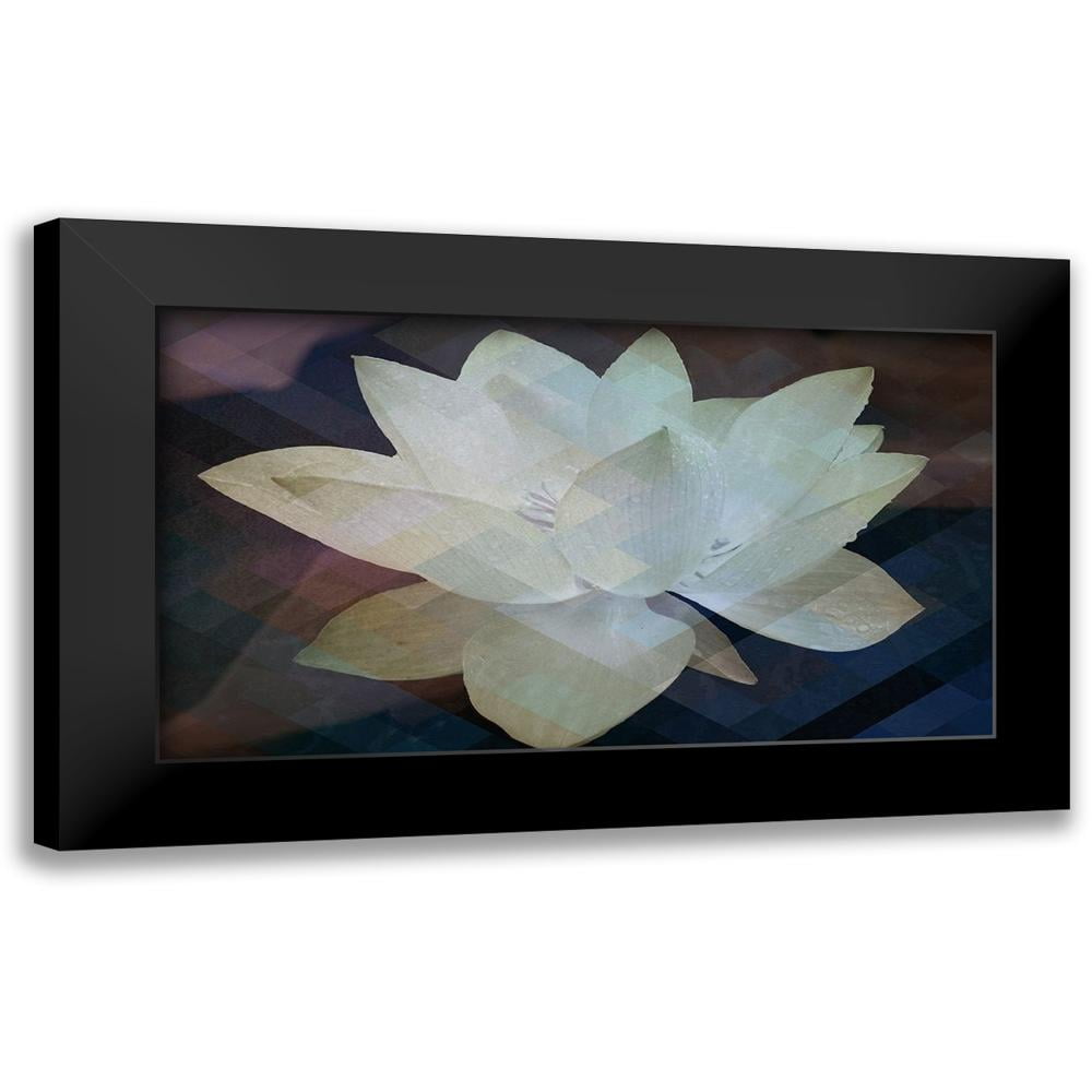 Bartola 24x15 Black Modern Framed Museum Art Print Titled - Lotus ...