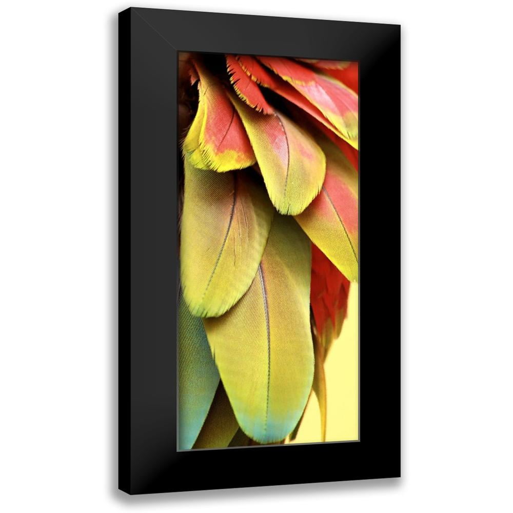 Bartola 8x14 Black Modern Framed Museum Art Print Titled - Feathers II ...