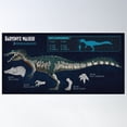 Baryonyx - Resequenced Poster Wall Art Modern Wall Decor For Living ...