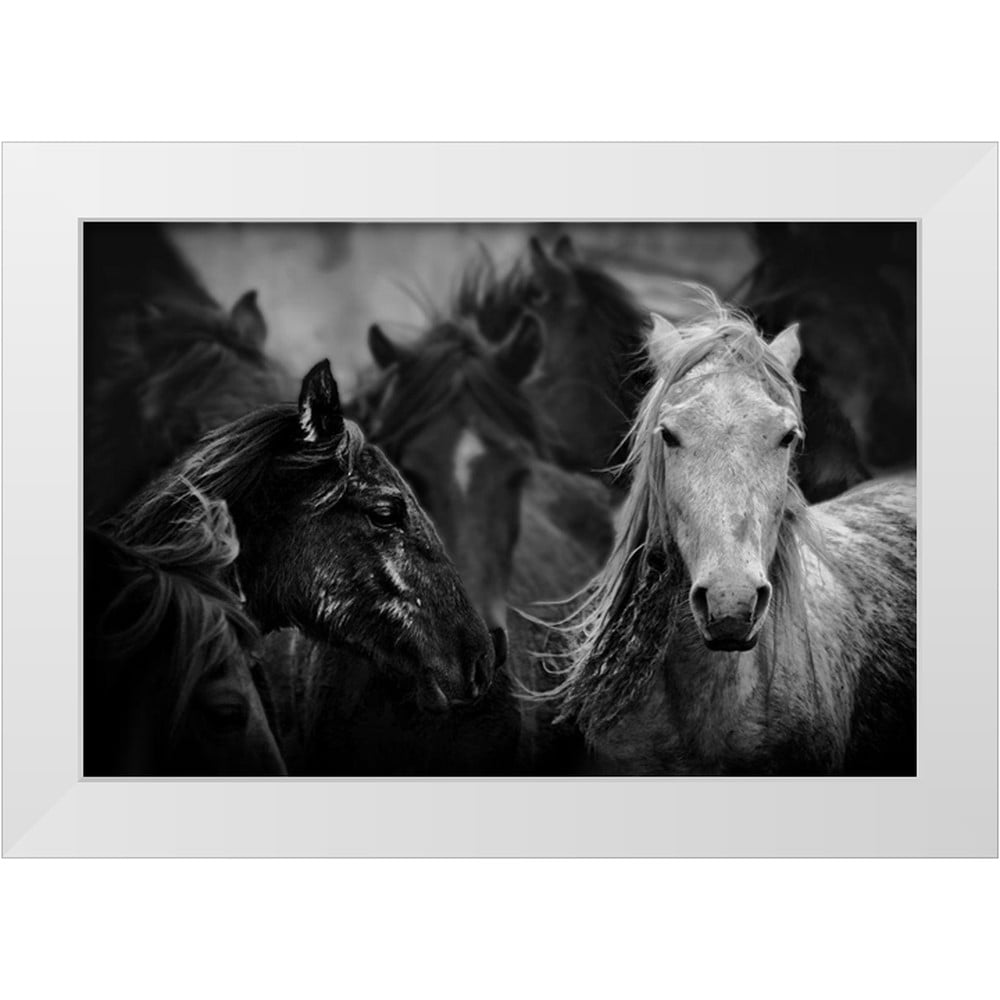 Basa, Emine 18x13 White Modern Wood Framed Museum Art Print Titled ...