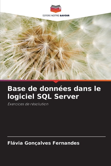 Base de données dans le logiciel SQL Server, (Paperback) - Walmart.com