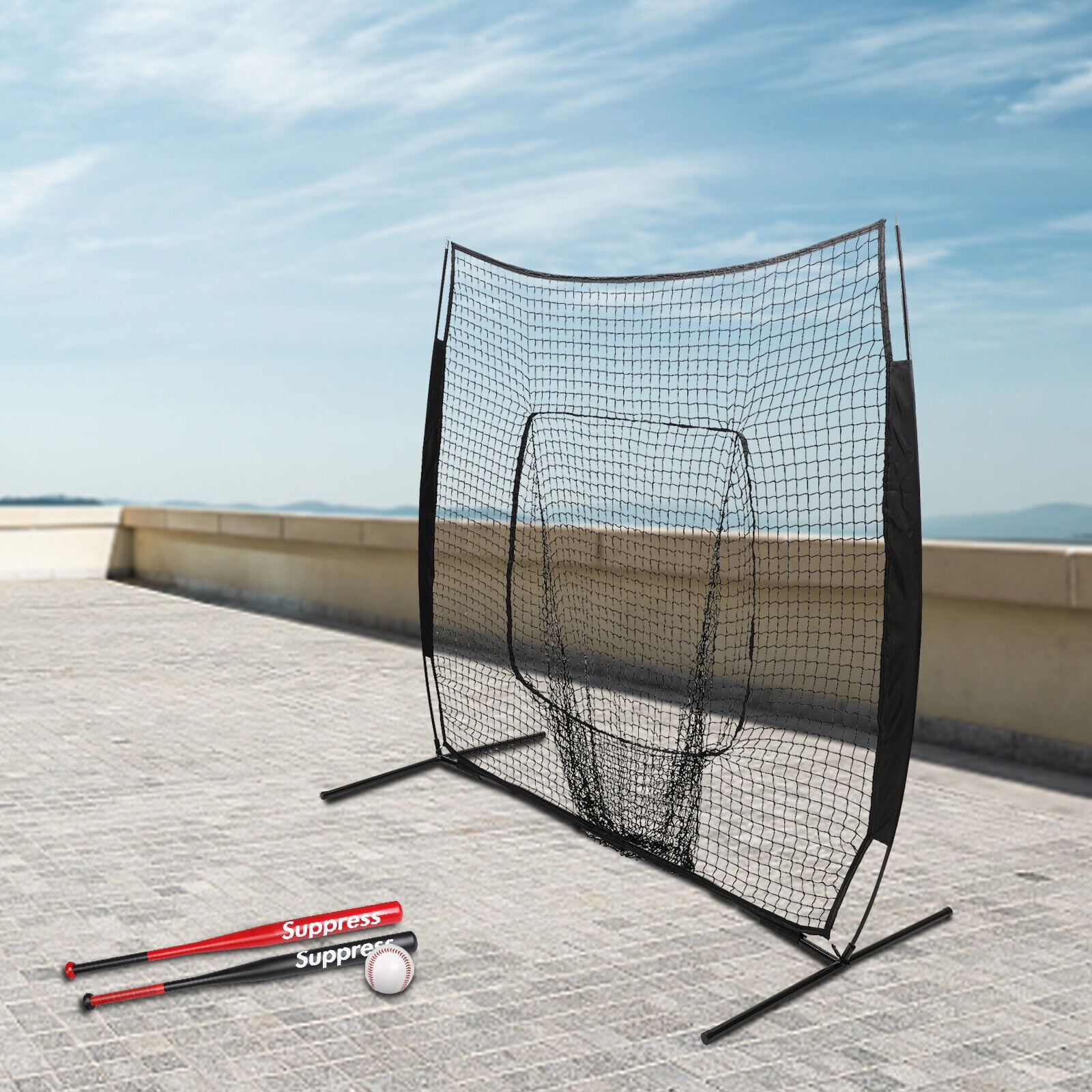 Catching Bats With Nets