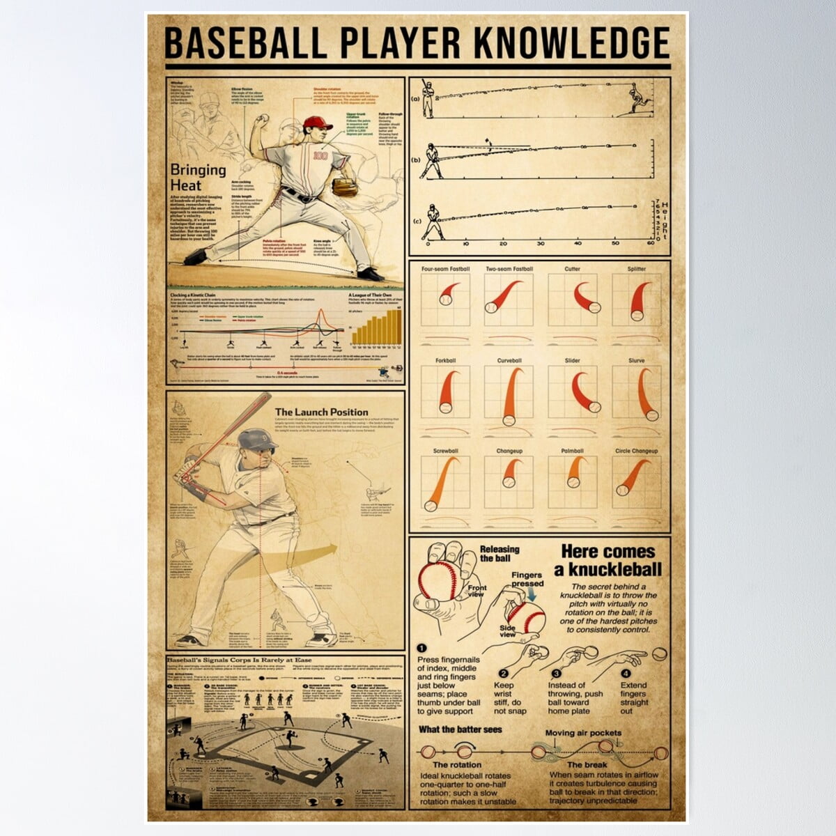 Baseball Knowledge, Baseball Iq: Navigating The Depths Of The Game'S ...