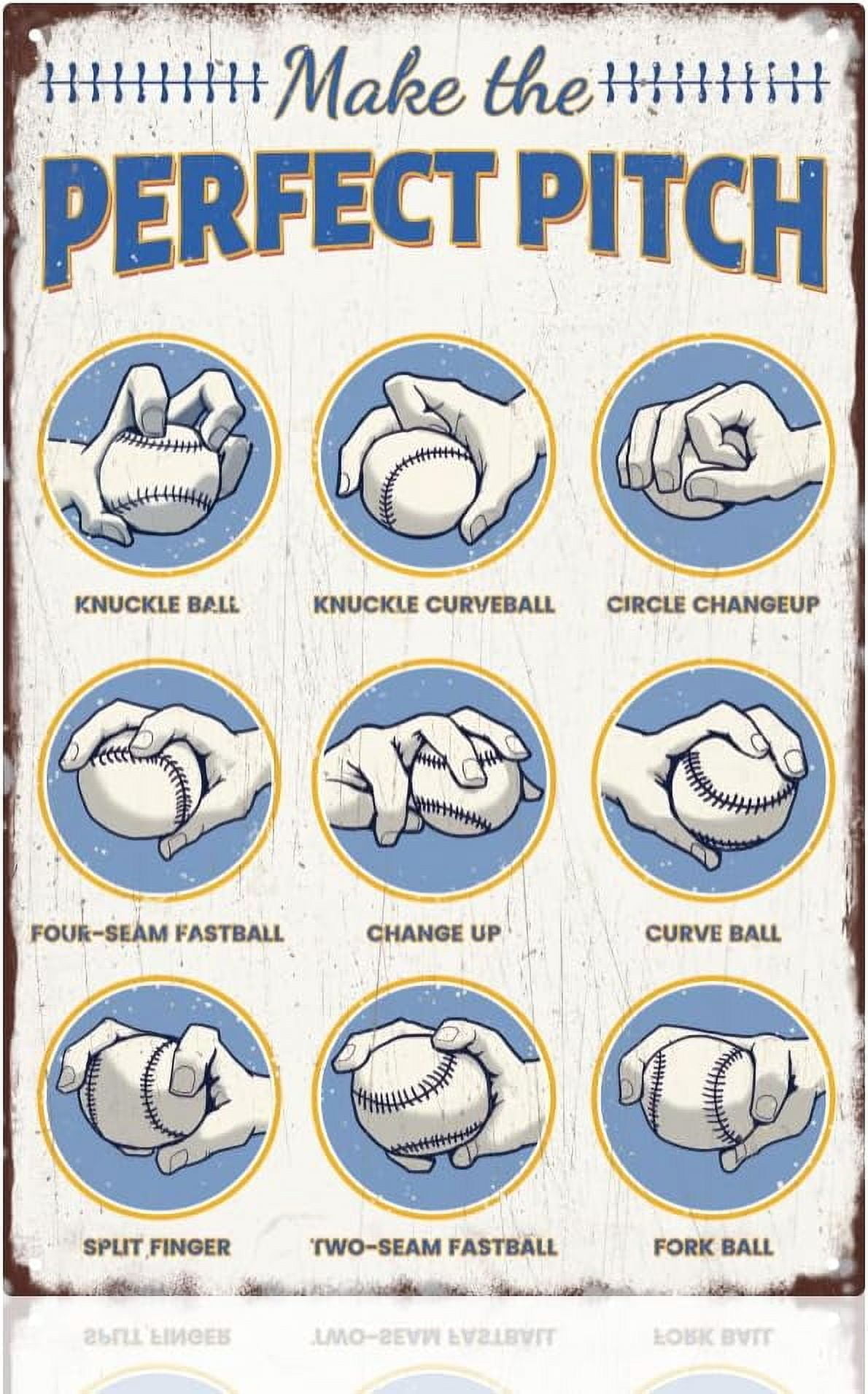 AociSuki Baseball Perfect Pitch Metal Tin Sign for Farmhouse Country ...