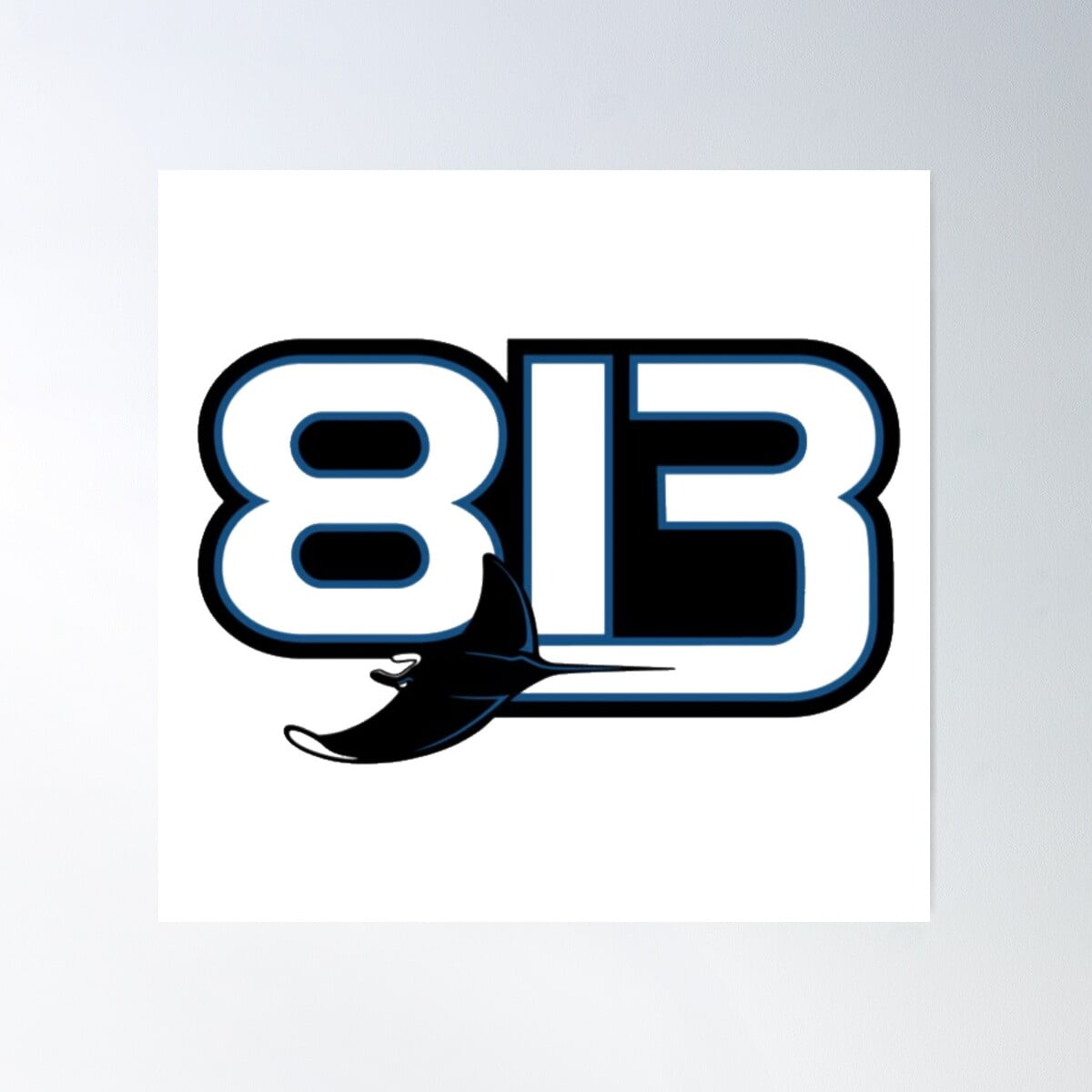 Baseball - Tampa Bay - 813 Area Code Poster Wall Art, Modern Wall Decor ...