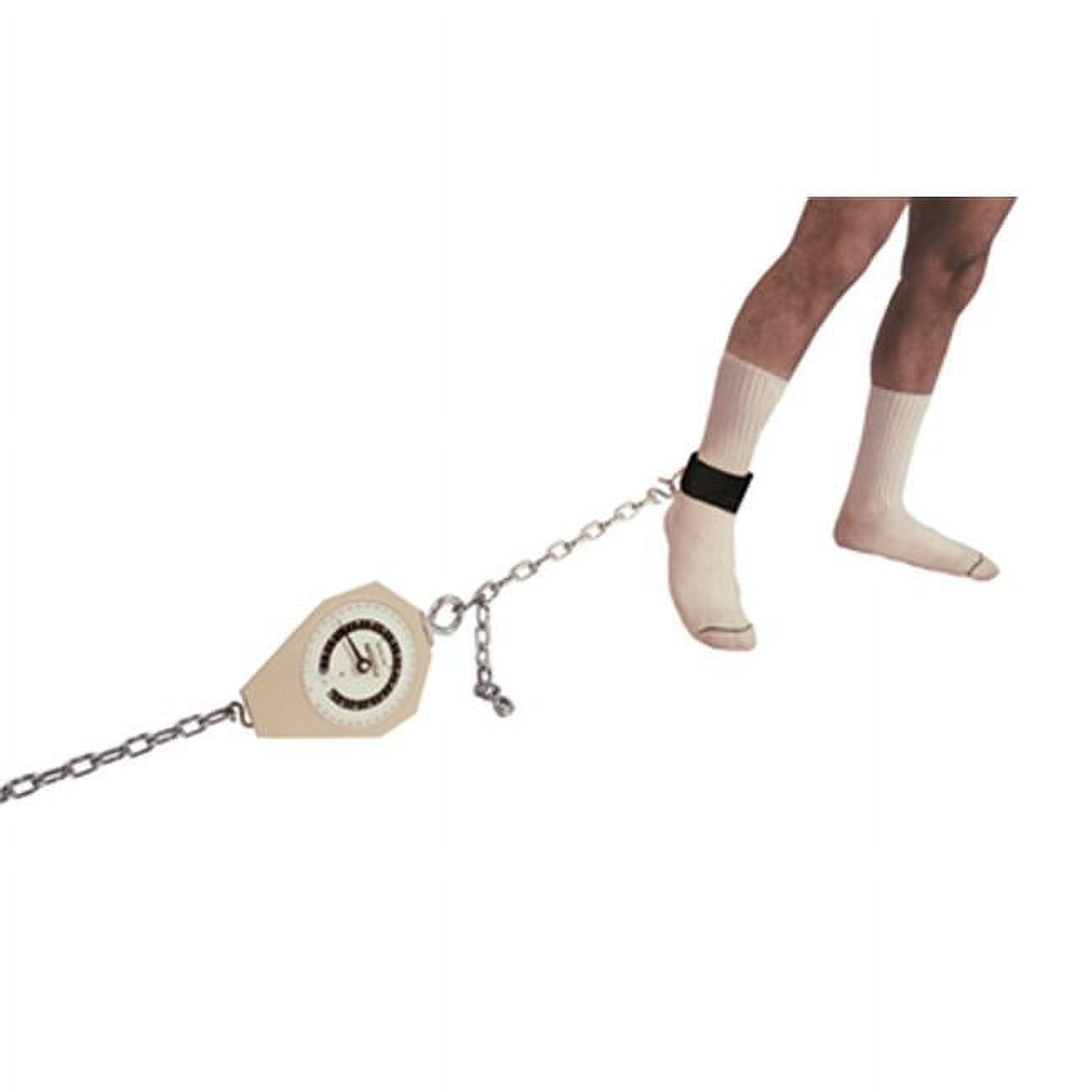 Baseline back, leg, chest dynamometer muscle Tester - Walmart.com