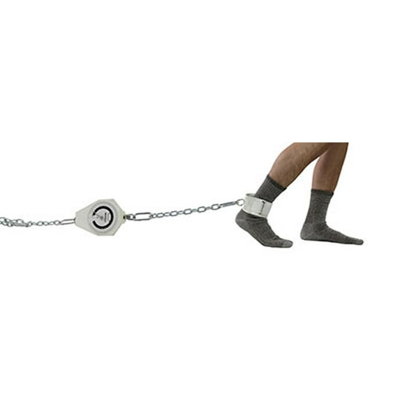 Baseline back, leg, chest dynamometer muscle Tester - Walmart.com