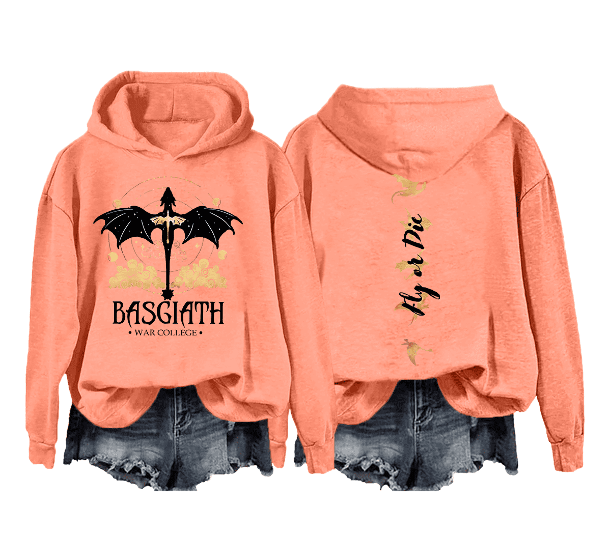 Basgiath War College Hoodie, Dragon Rider Hoodie, Fourth Wing ...