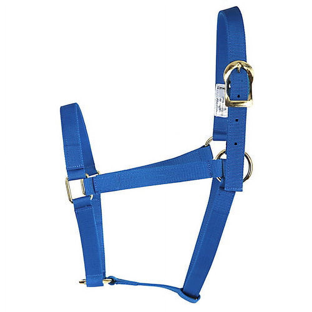 Basic 2-Ply Halter Average Blue - Walmart.com