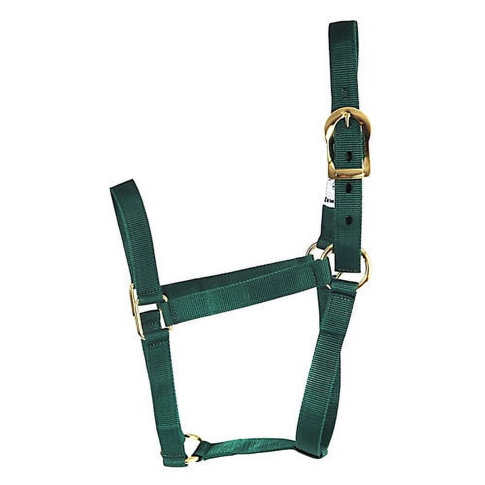 Basic 2-Ply Halter Average Green - Walmart.com