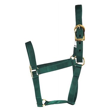 1" Horse Western Nylon Web Throat Snap Halter Brass Plated Tack ...