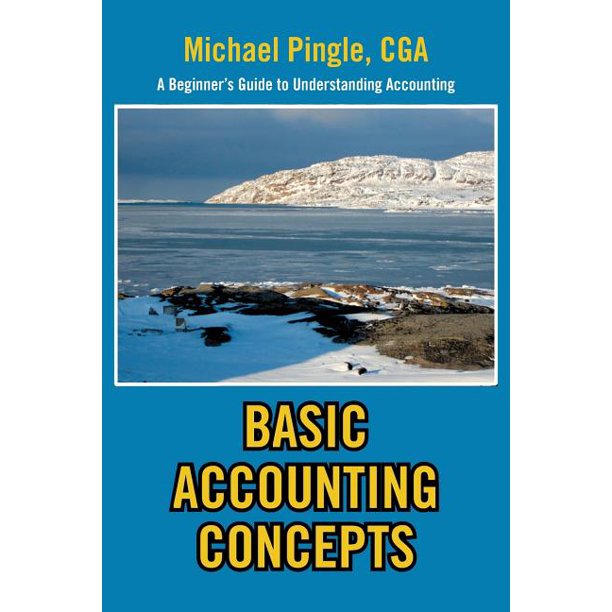 Basic Accounting Concepts : A Beginner's Guide to Understanding Accounting - Walmart Business ...
