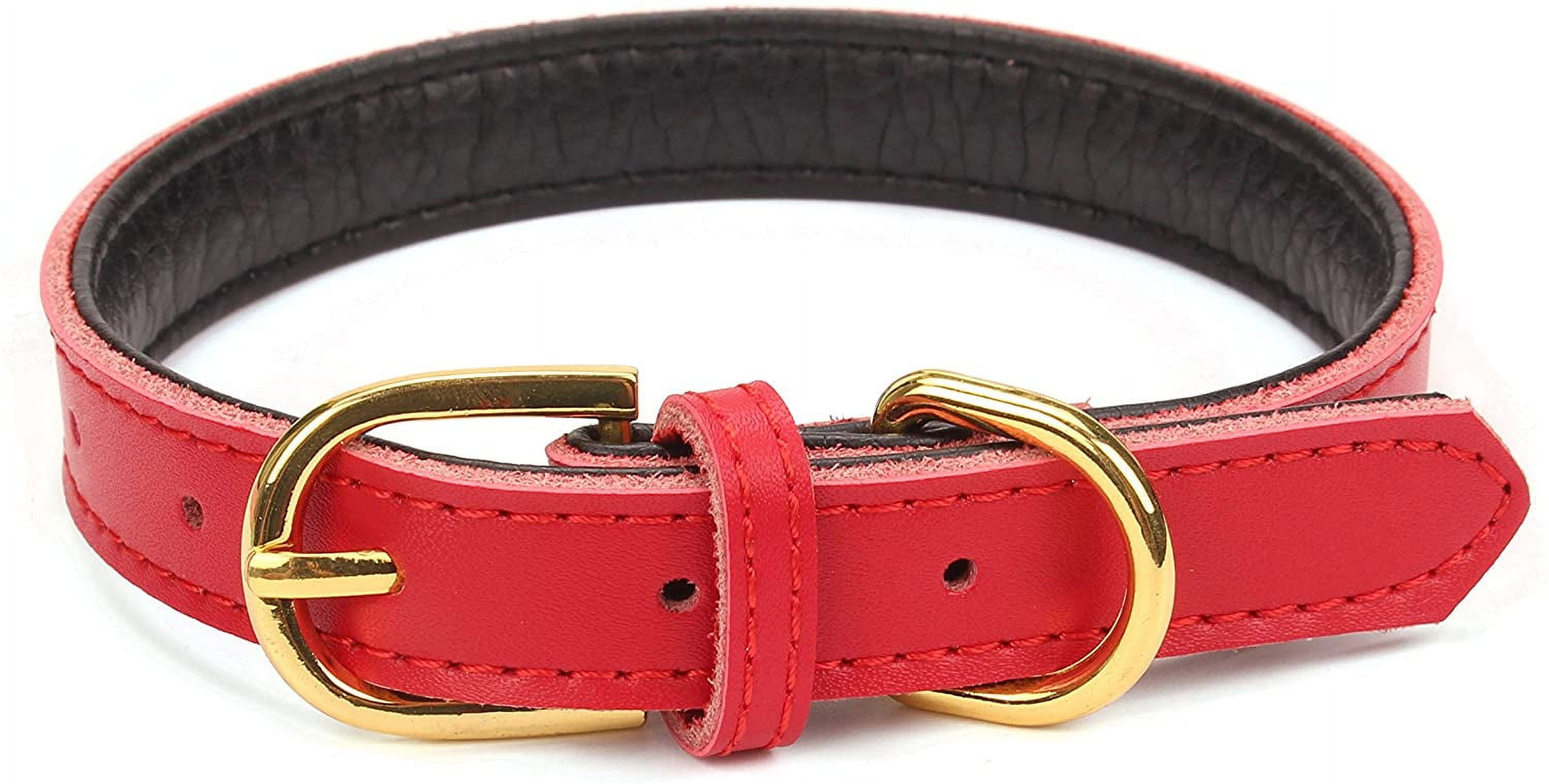 Basic Classic Padded Leather Pet Collars For Cats Puppy Small Medium ...