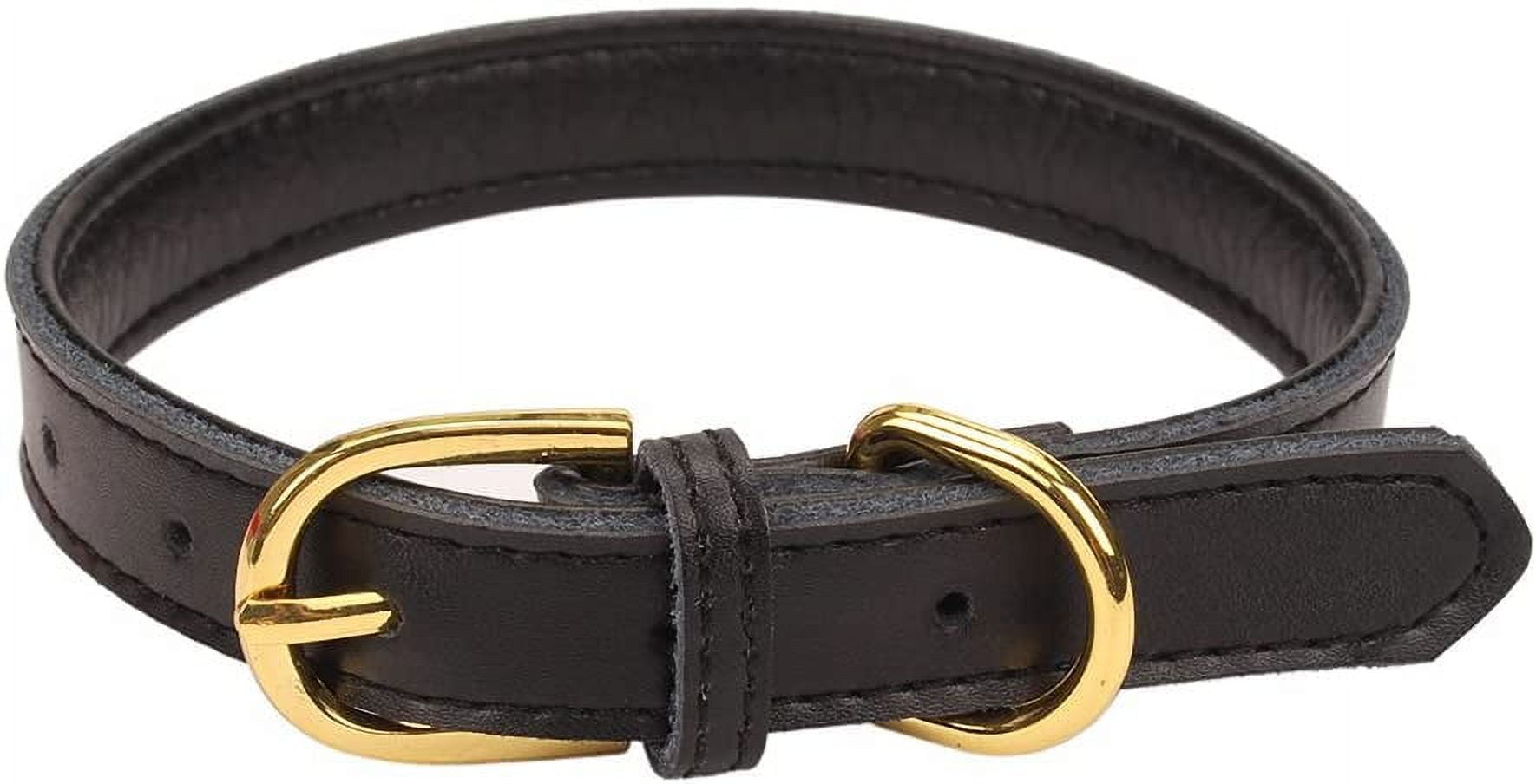 Basic Classic Padded Leather Pet Collars For Cats Puppy Small Medium ...