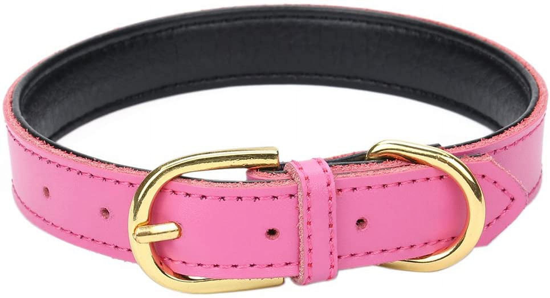 Basic Classic Padded Leather Pet Collars For Cats Puppy Small Medium ...