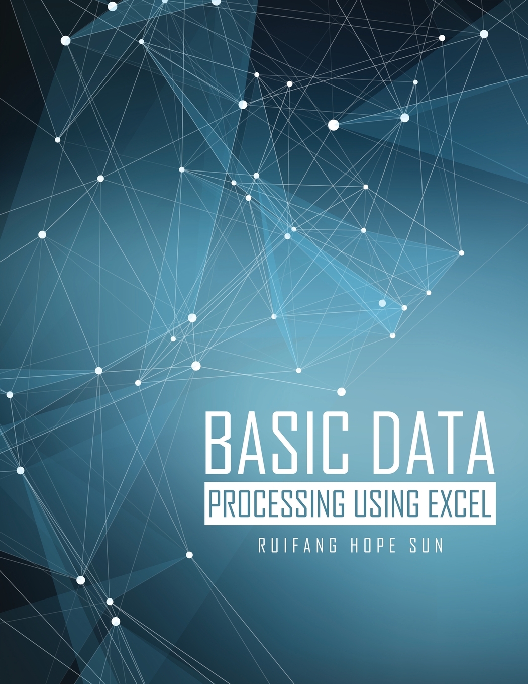 Basic Data Processing Using Excel (Paperback) - Walmart.com