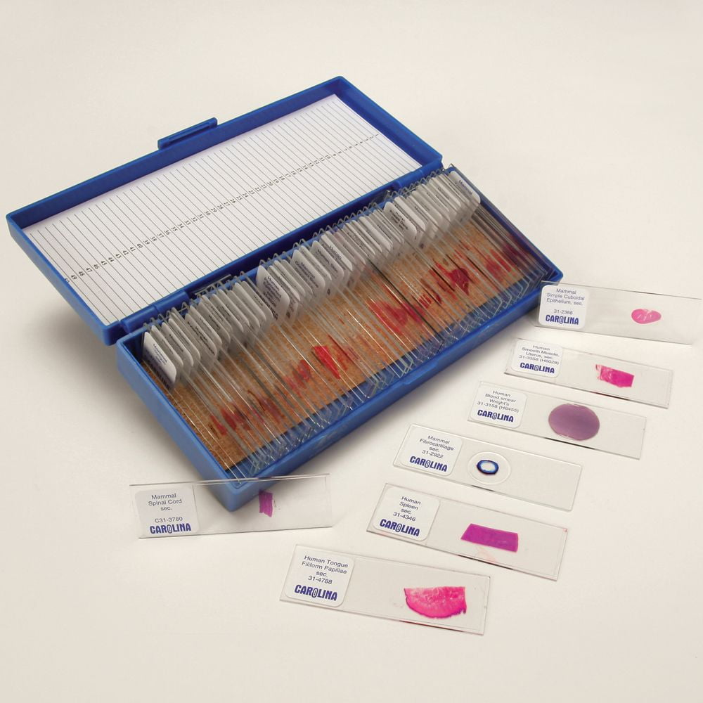 Basic Medical Histology Equipment: Organ Systems and Tissues Slide Set ...